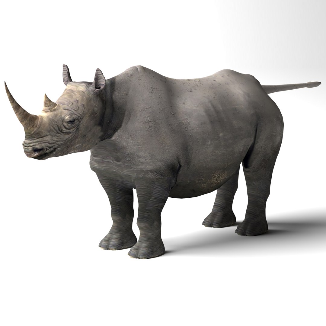 Rhino Model - TurboSquid 1733541