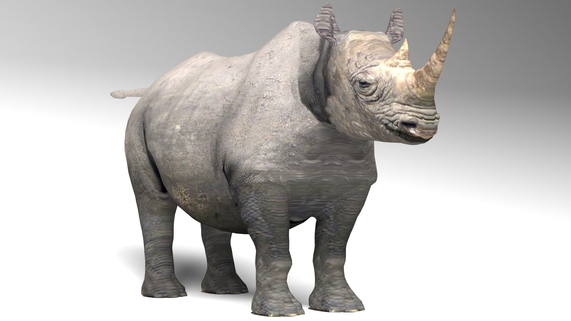 Rhino Model - TurboSquid 1733541