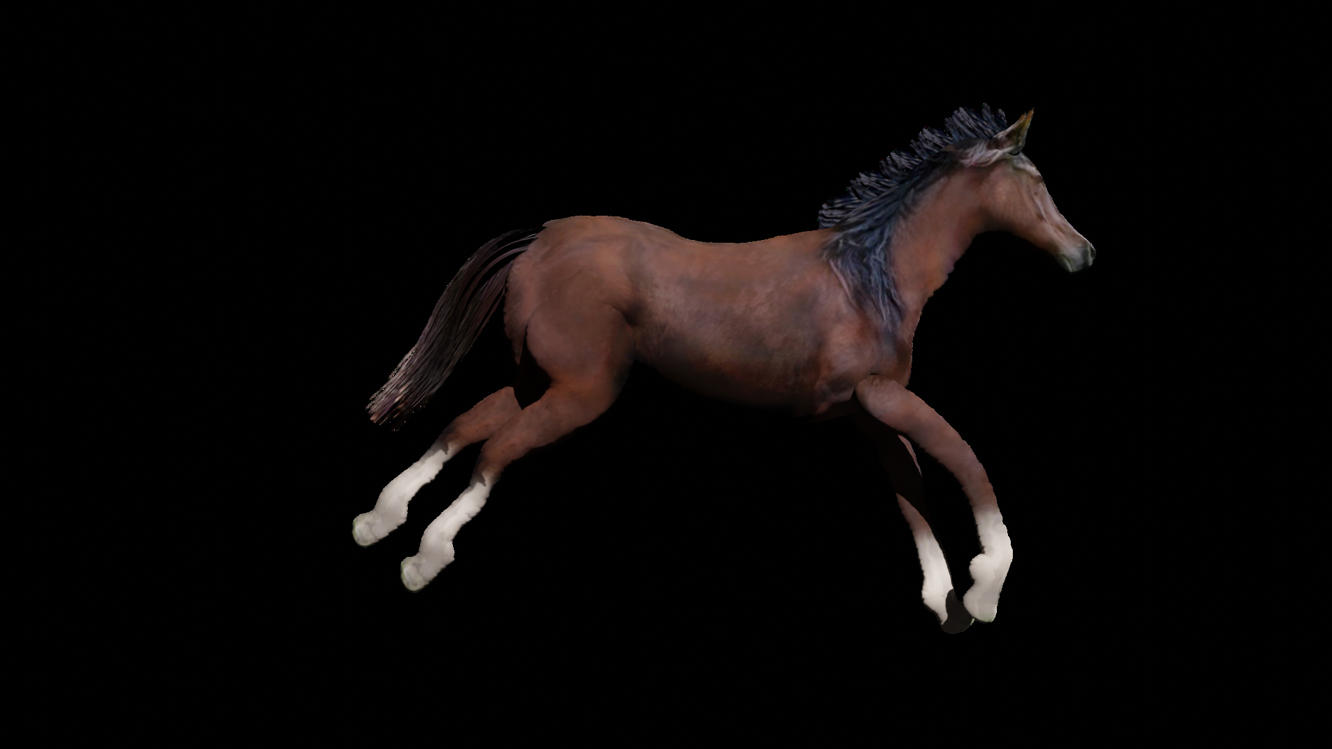 3D Horse Rigged Animated - TurboSquid 1950967