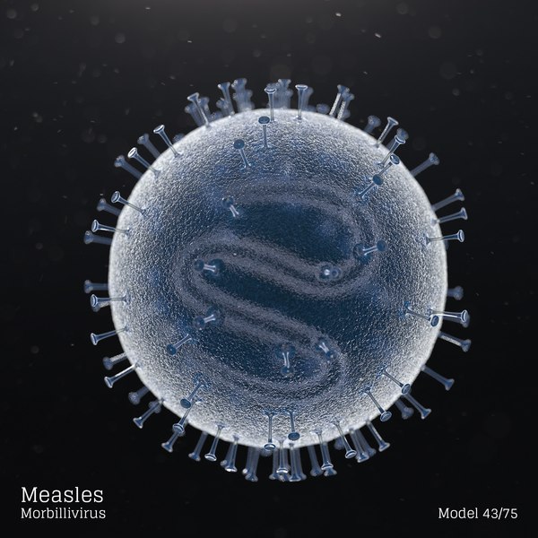 Measles 3D Models for Download | TurboSquid