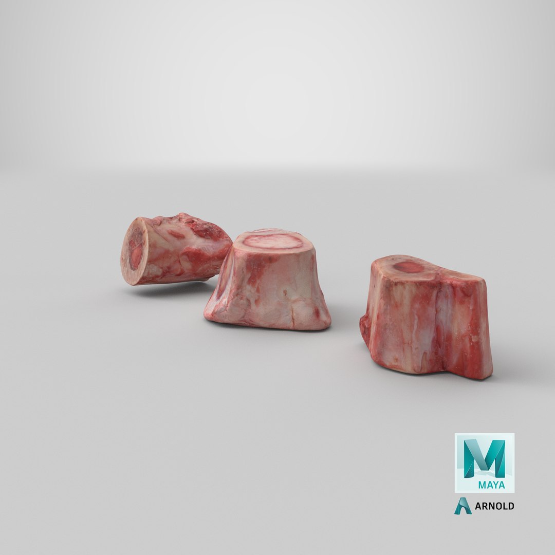 3D Marrow Bone Collection - TurboSquid 1768430