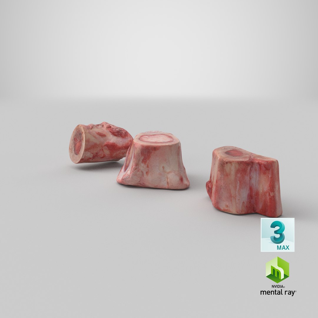 3D Marrow Bone Collection - TurboSquid 1768430