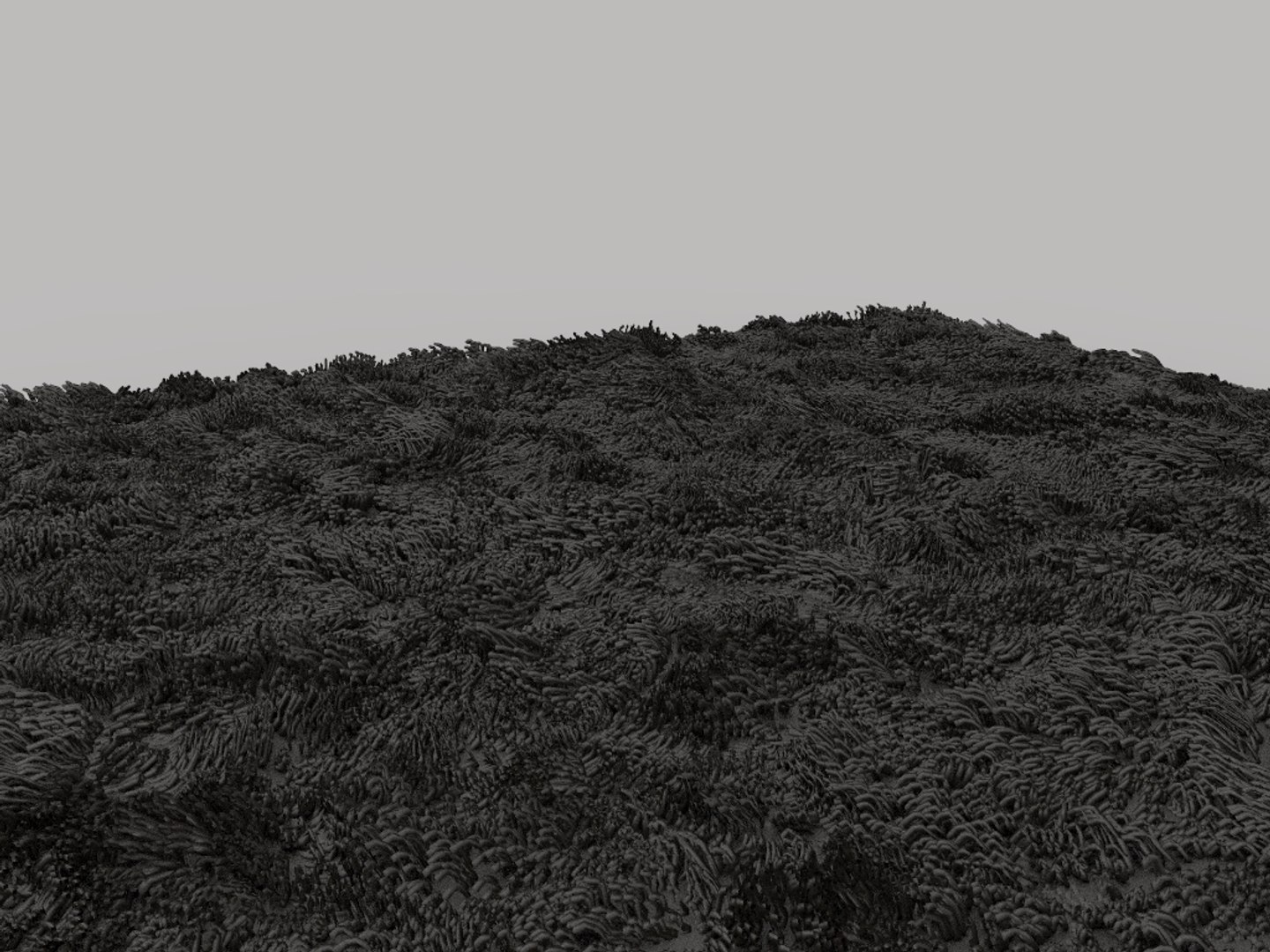 Rugs hair fur 3D model - TurboSquid 1191102