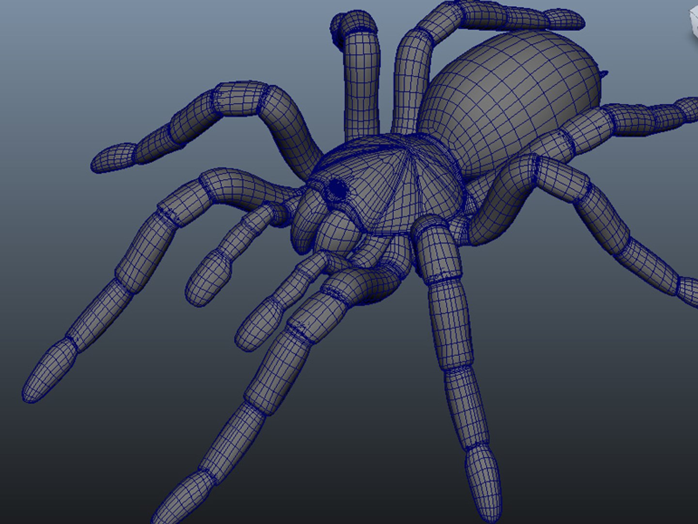 Tarantula 3d Obj