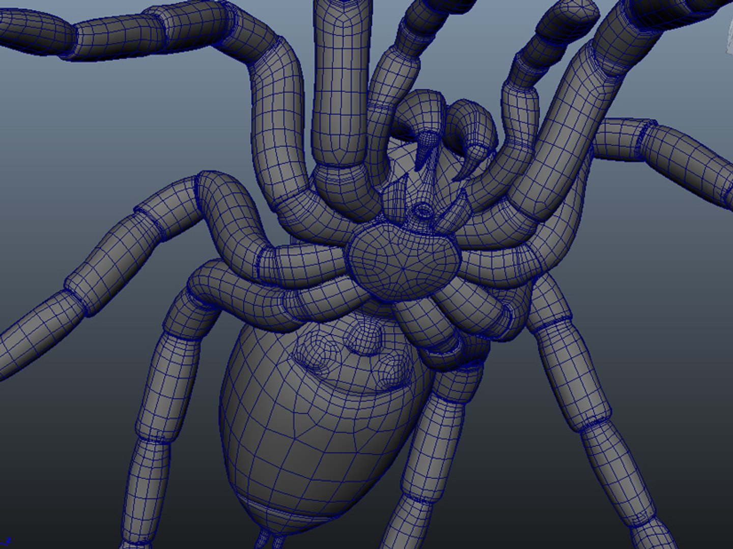 Tarantula 3d Obj