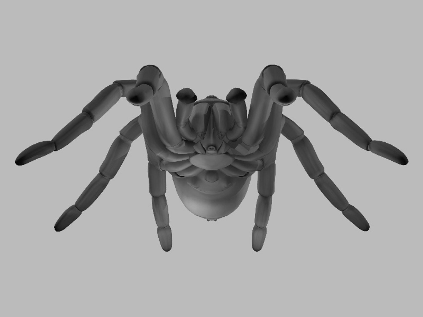 Tarantula 3d Obj