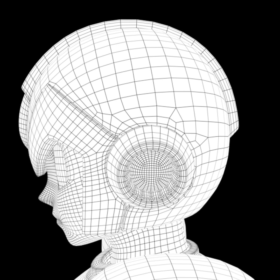 Megaman Rig 3d Model