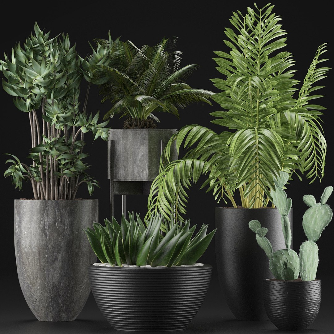 3D Plants 19 - TurboSquid 1591908