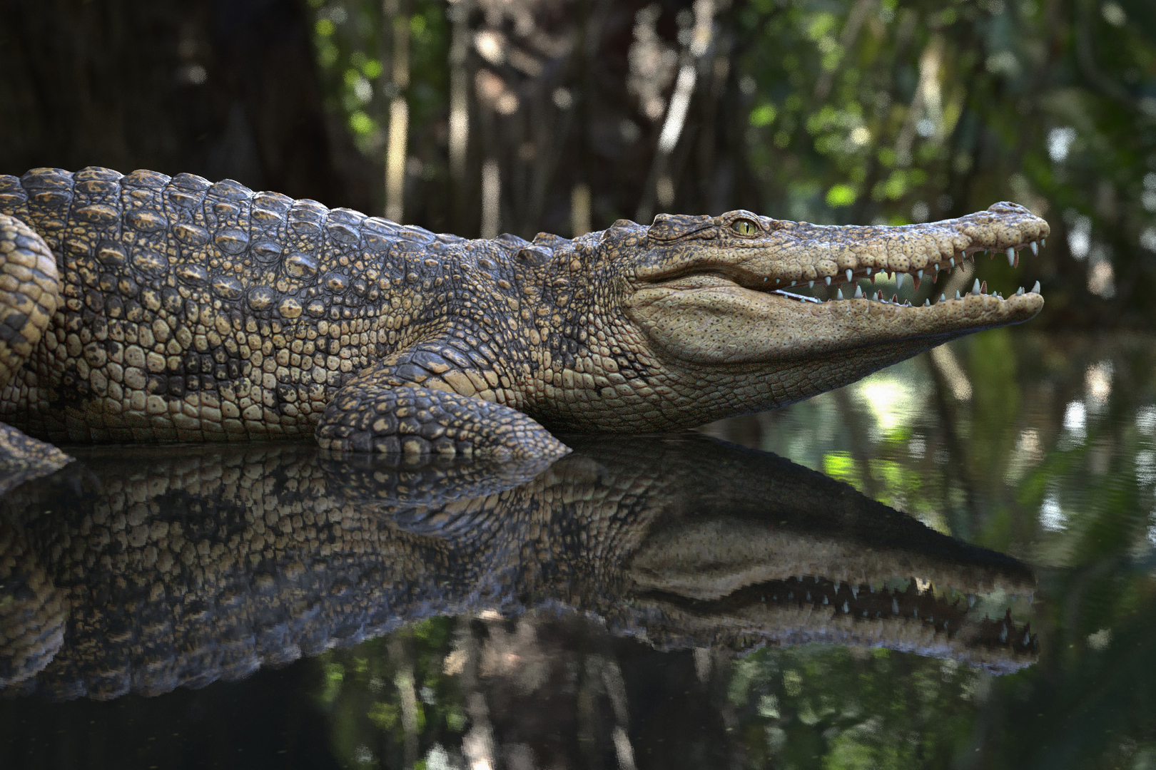 3D Siamese Crocodile Rigged - TurboSquid 1856825