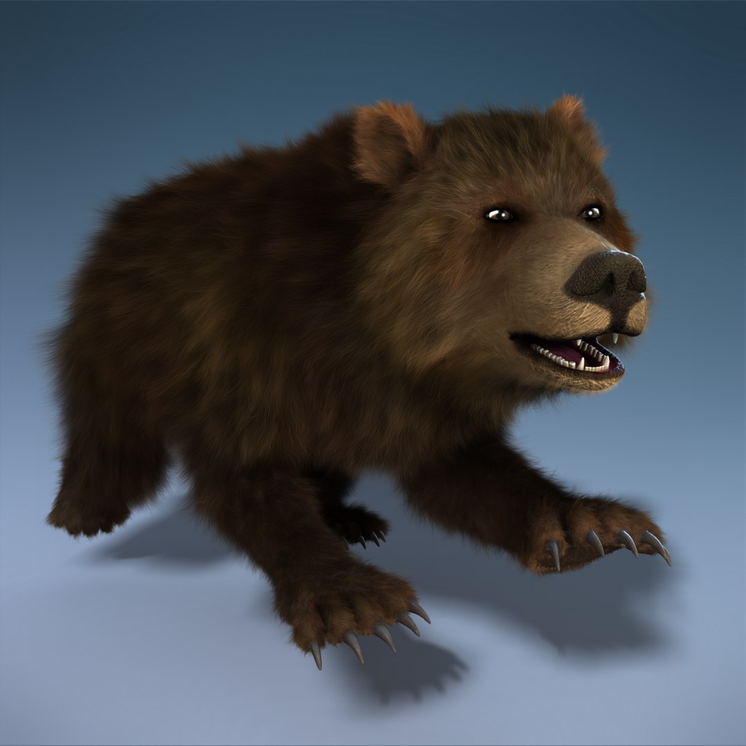 rigged bears - 3 3d model