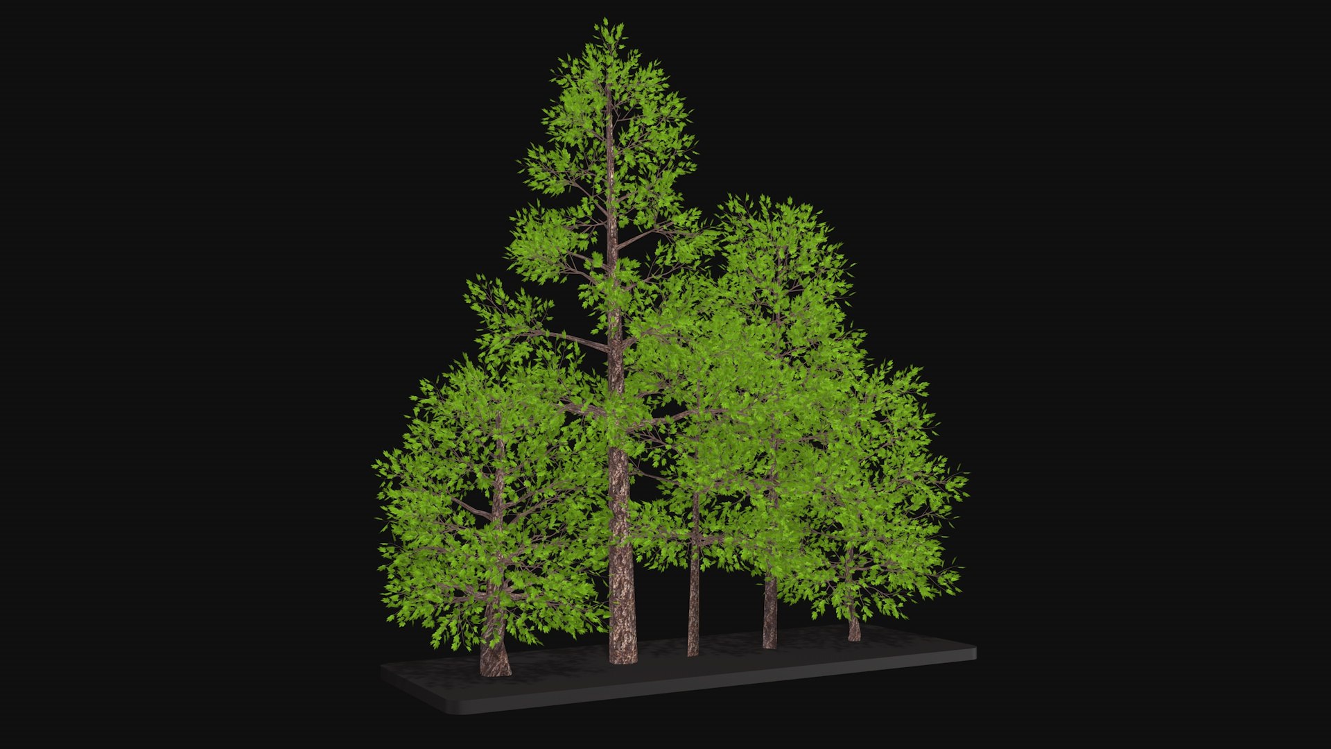 3D Five Low Poly Trees Three Seasons Low Poly - TurboSquid 2392547