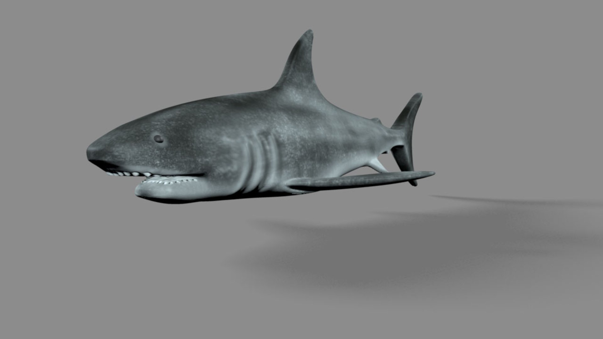 Maya Shark