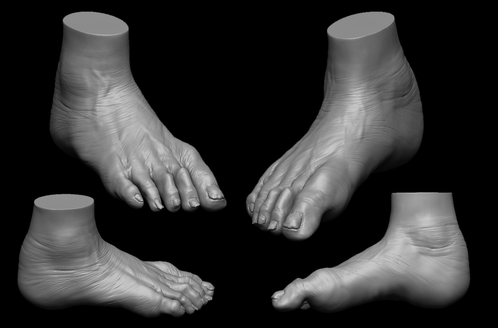 3D 4 differents feet model - TurboSquid 1419099