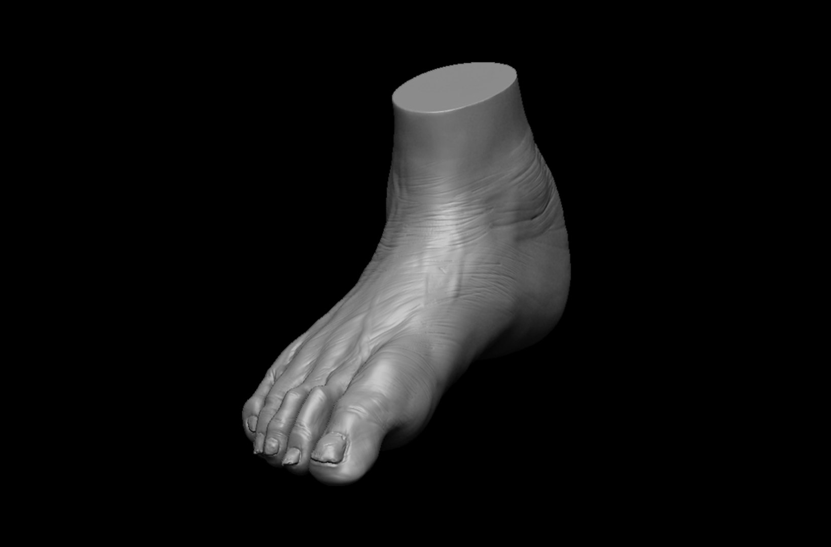 3D 4 differents feet model - TurboSquid 1419099