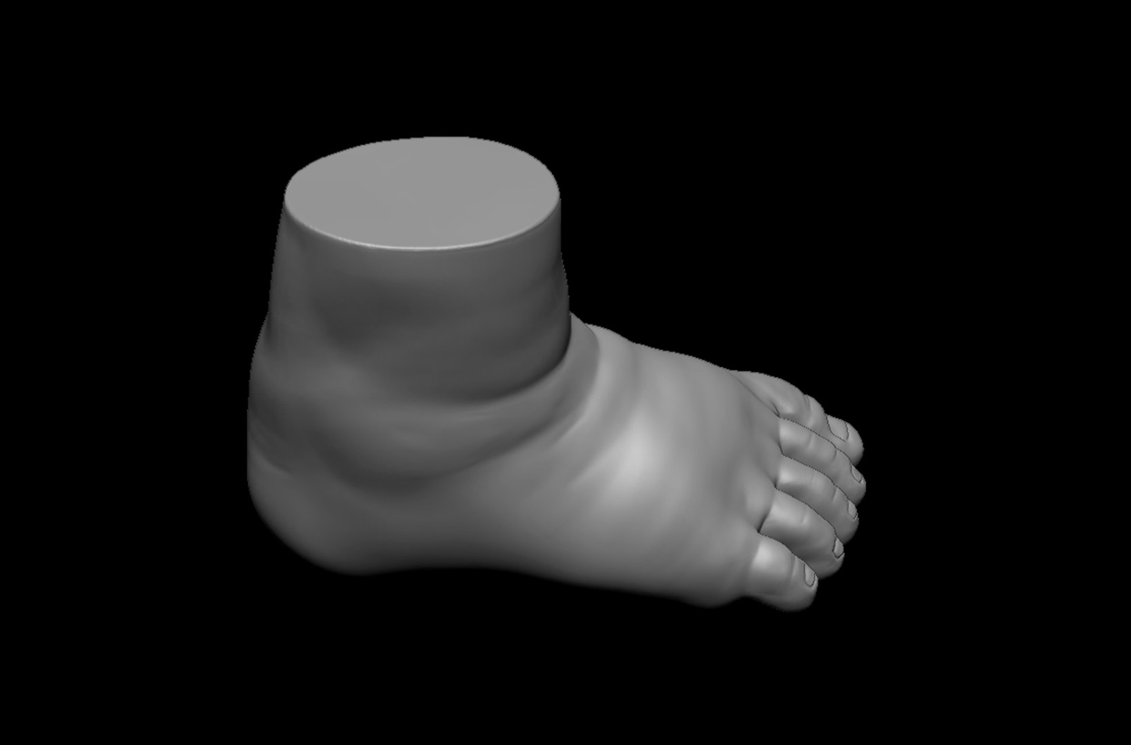 3D 4 differents feet model - TurboSquid 1419099