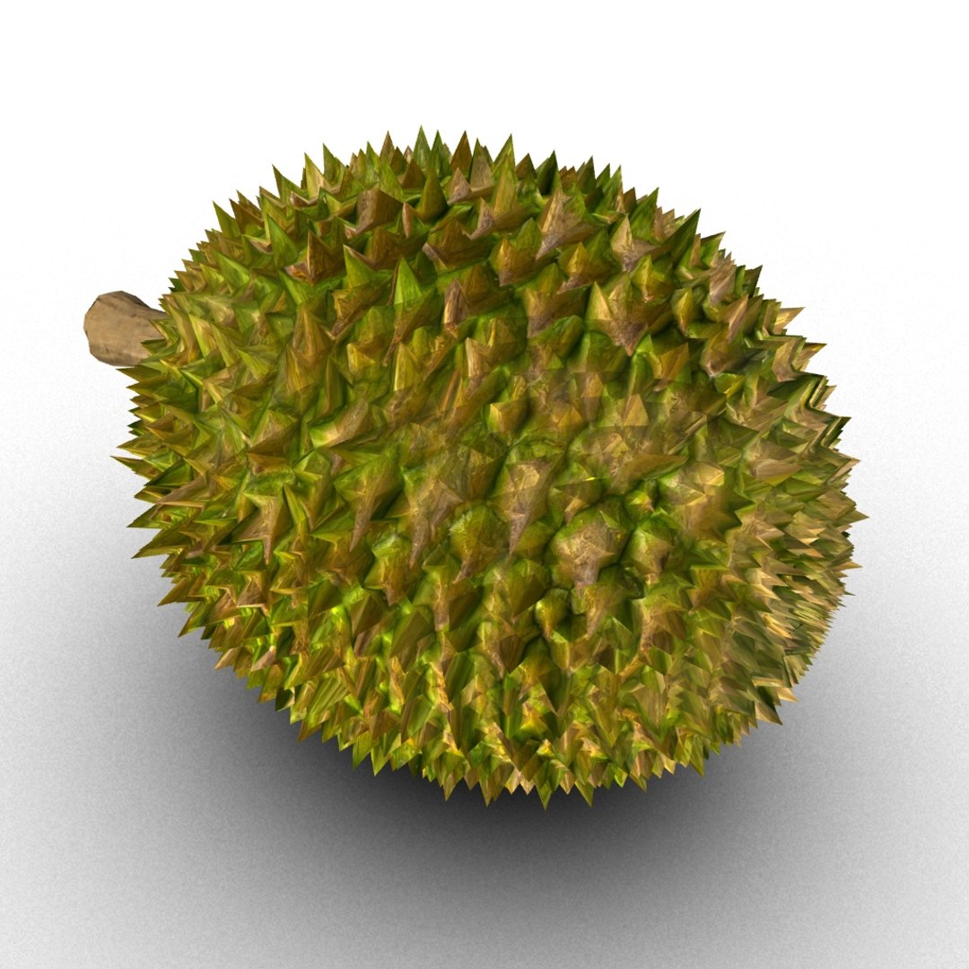 3D Durian - TurboSquid 1323531