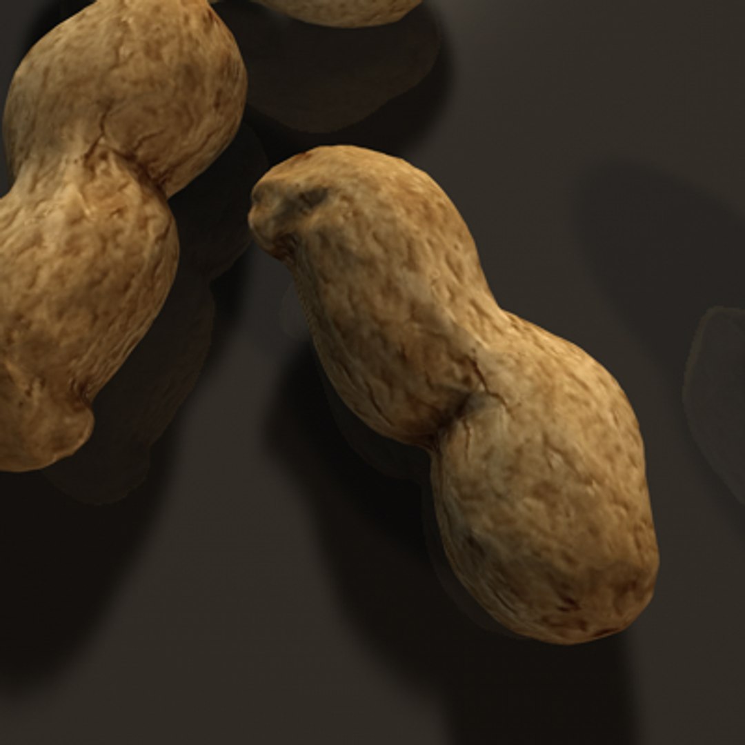 3d peanut nuts model