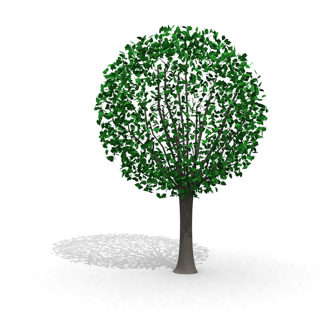 3d Simple Tree Model