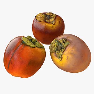 Realistic 3D - TurboSquid 1164403