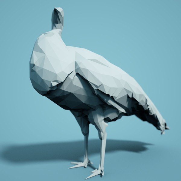 Peacock 3D Models for Download | TurboSquid