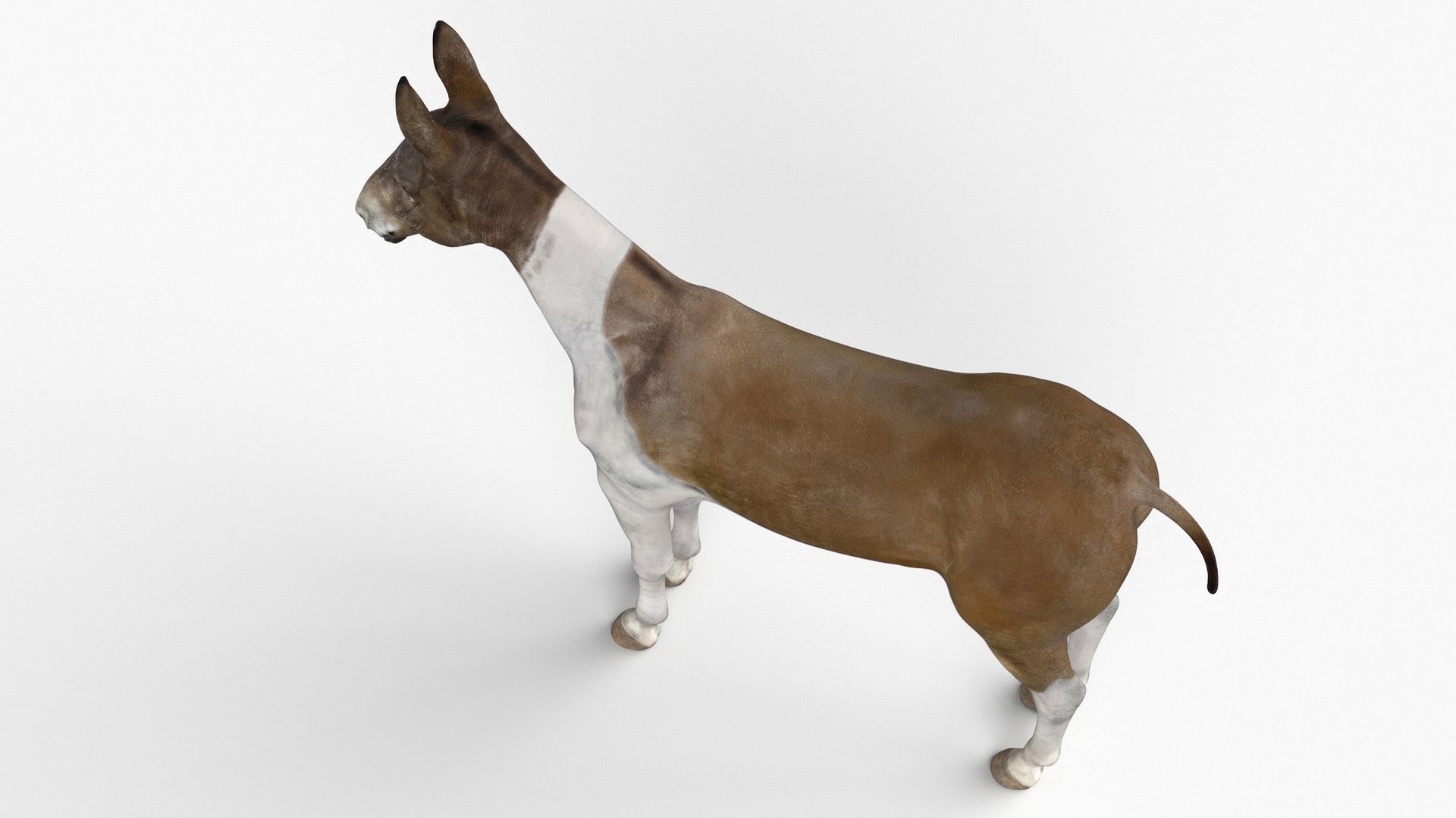 Mule 3D Model - TurboSquid 2279656