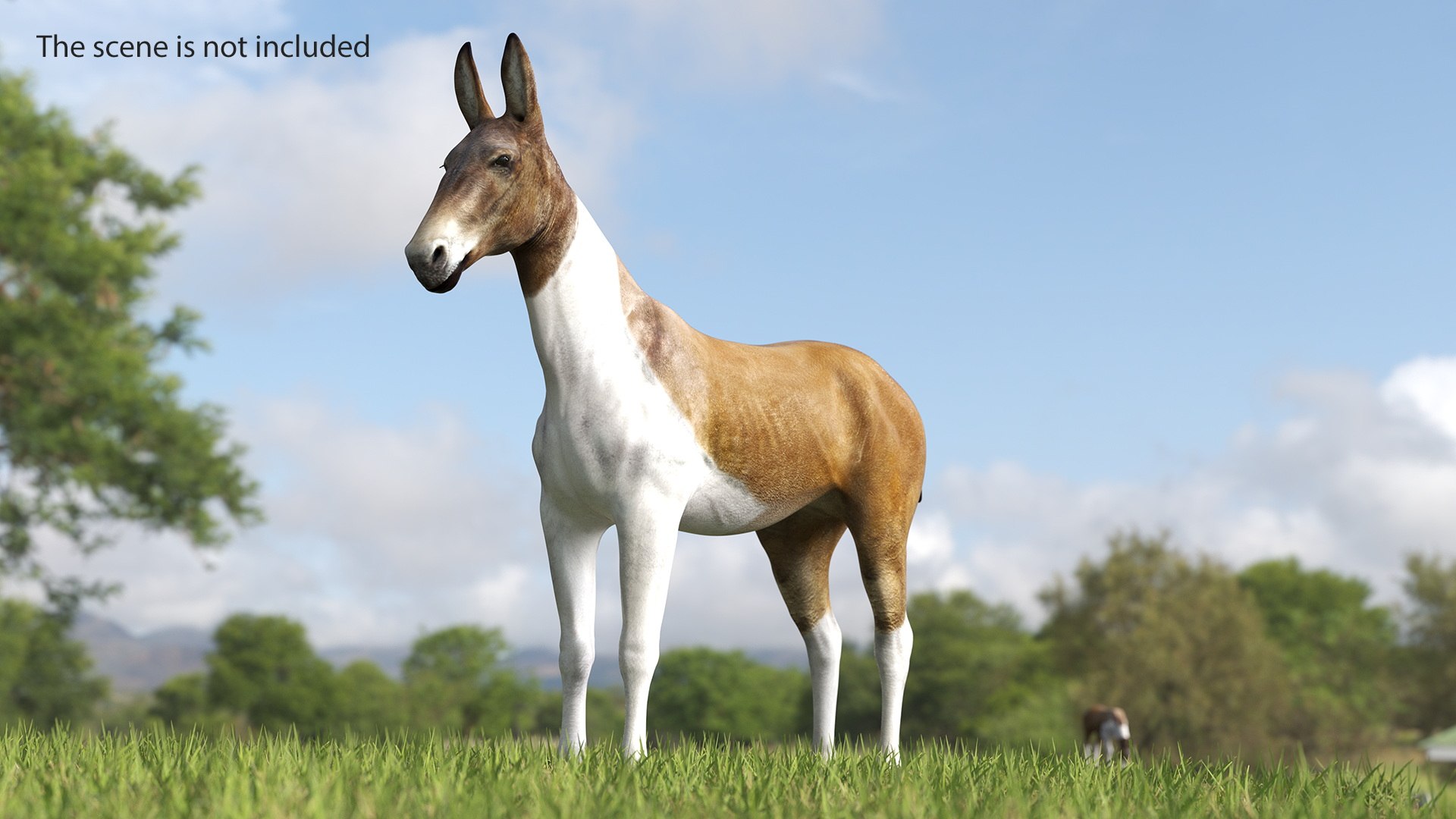 Mule 3D Model - TurboSquid 2279656