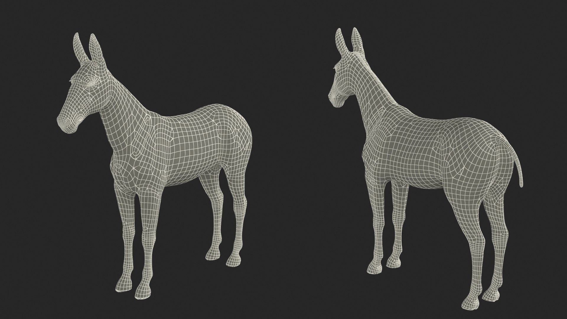 Mule 3D Model - TurboSquid 2279656