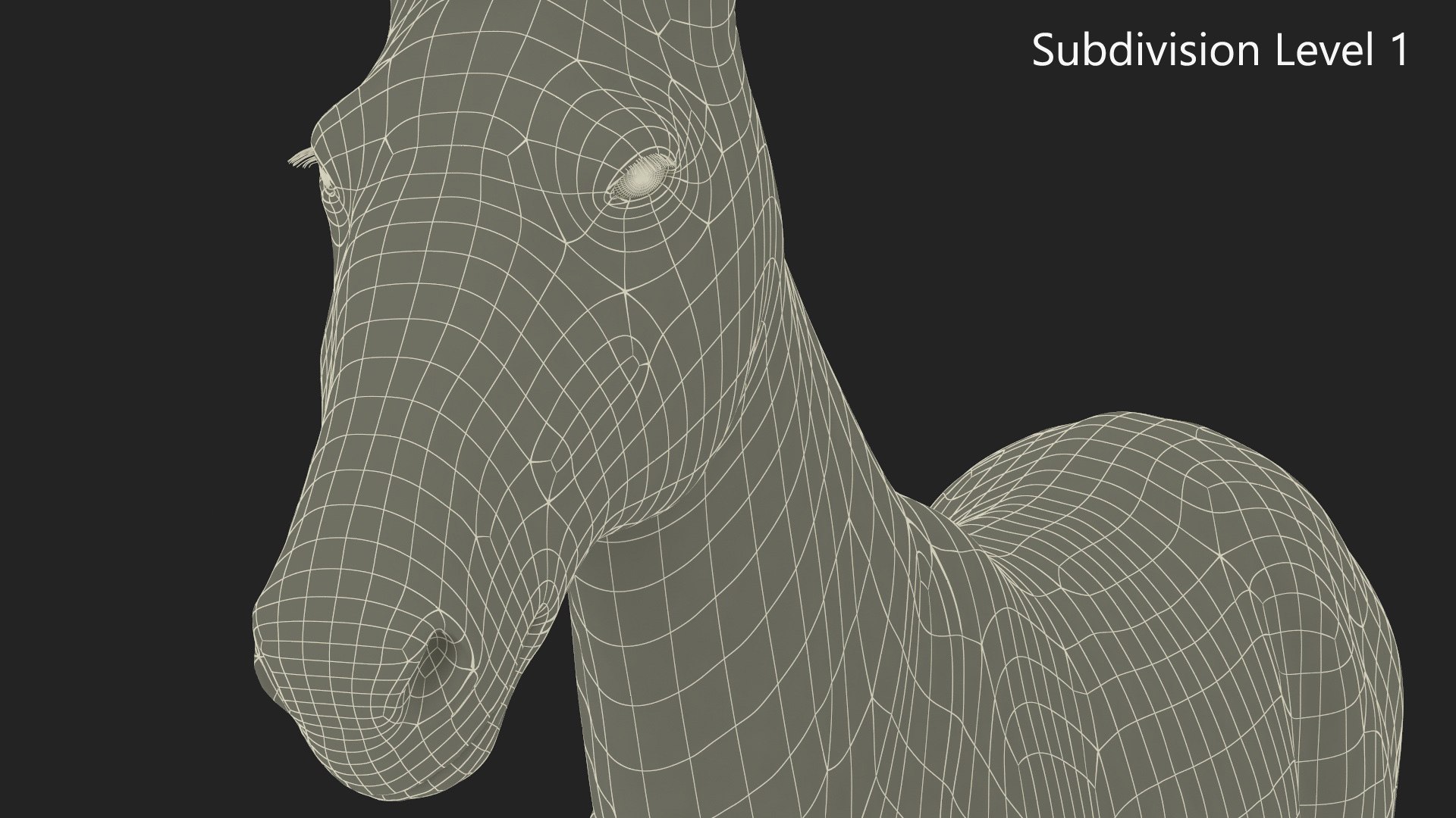 Mule 3D Model - TurboSquid 2279656