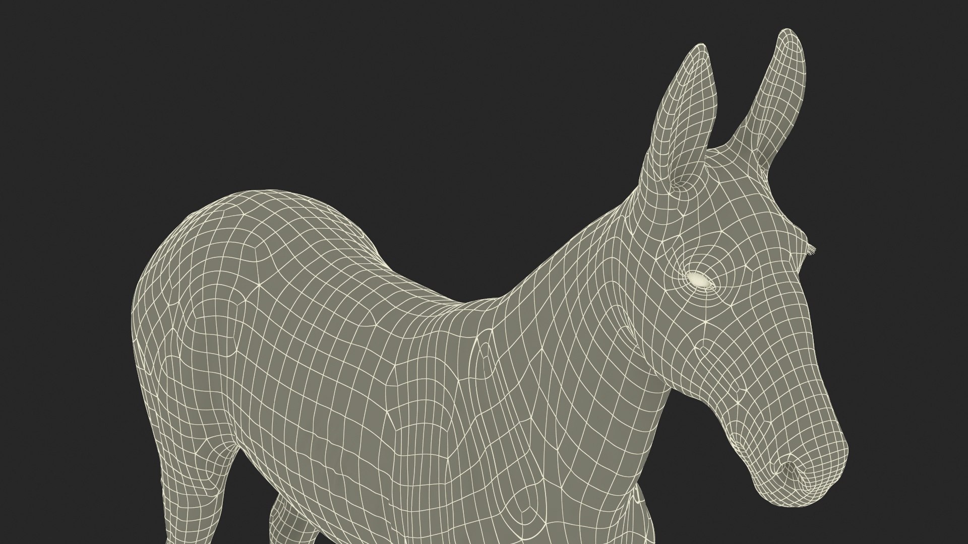 Mule 3D Model - TurboSquid 2279656
