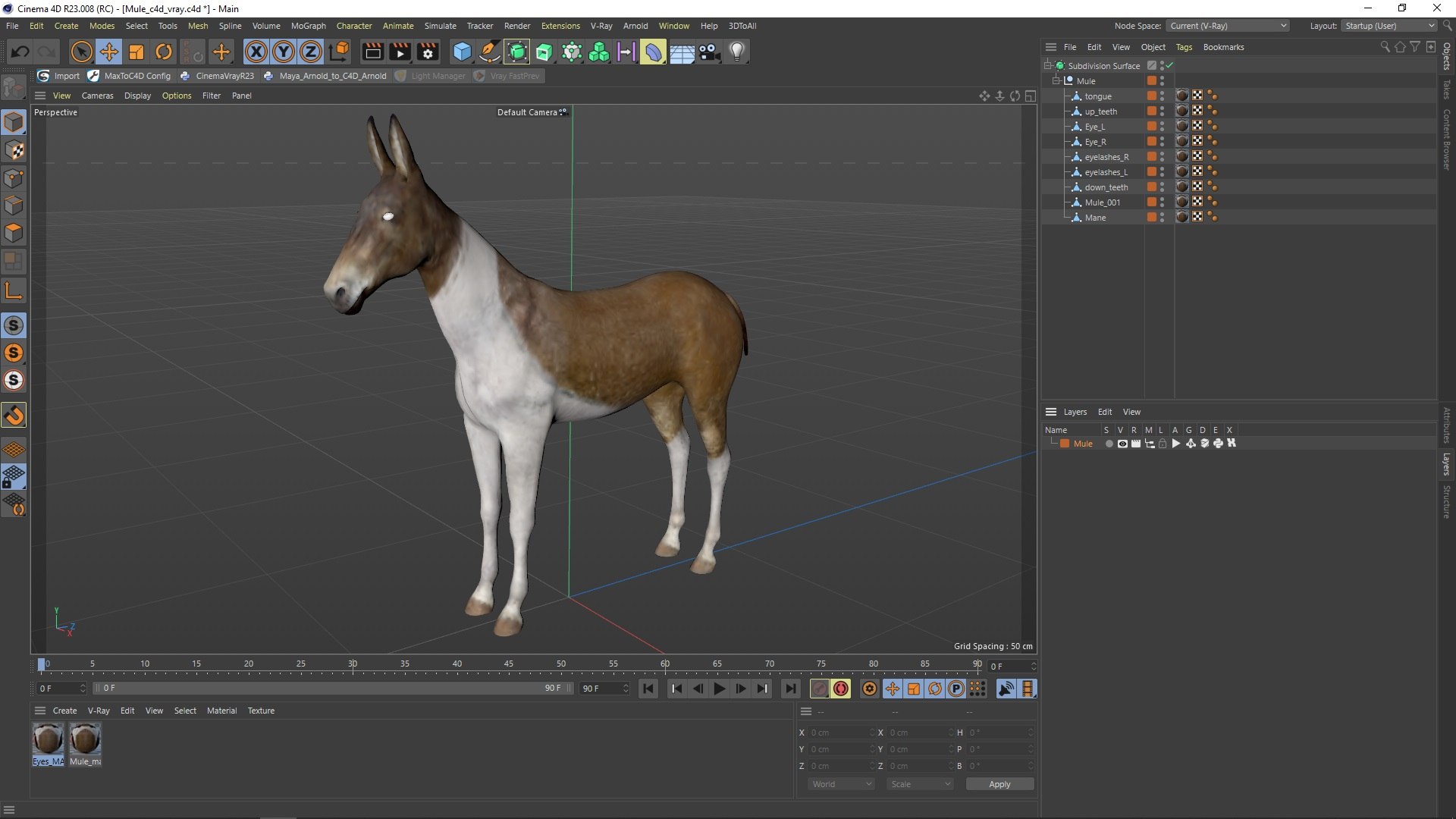 Mule 3D Model - TurboSquid 2279656