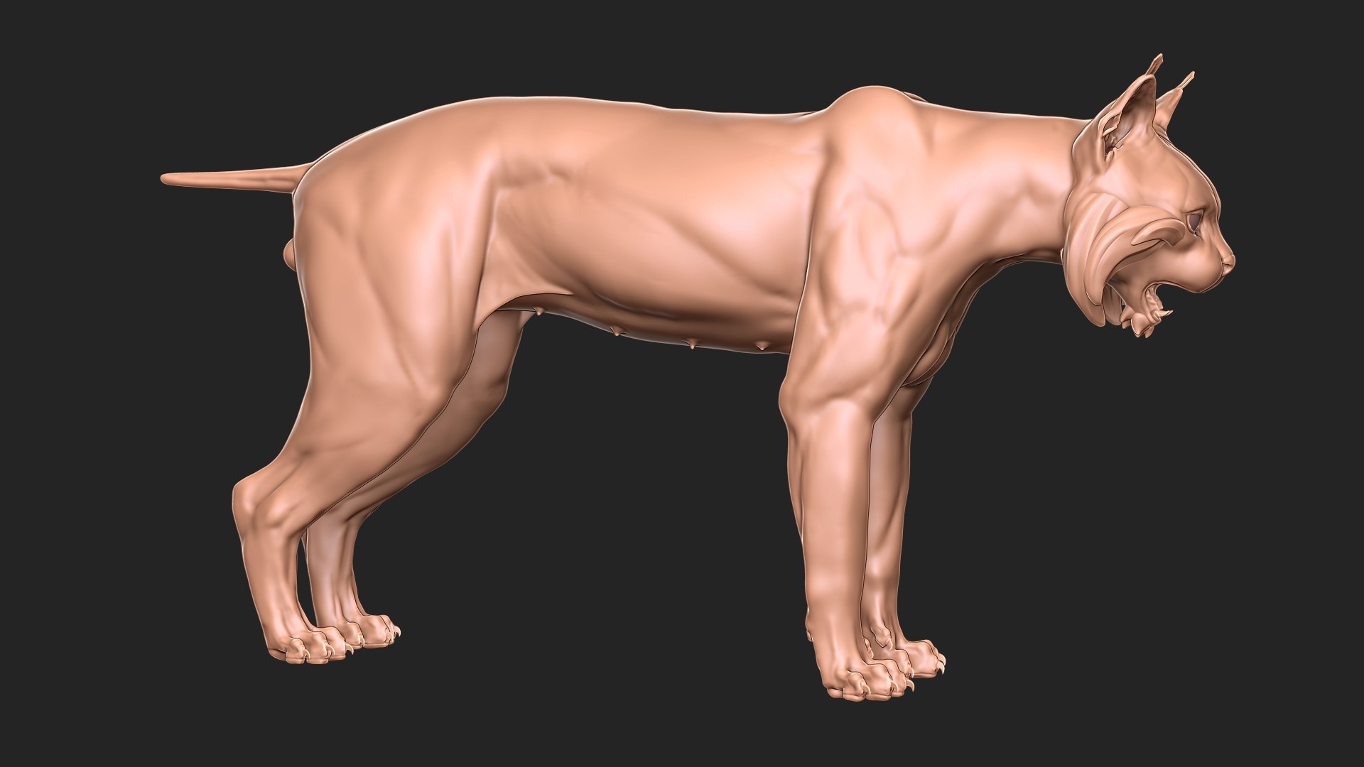 Bobcat Primary Forms Zbrush Sculpt 3D - TurboSquid 1817397