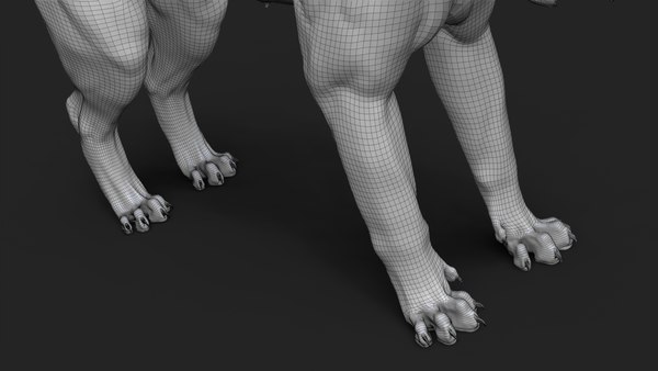 Bobcat Primary Forms Zbrush Sculpt 3D - TurboSquid 1817397