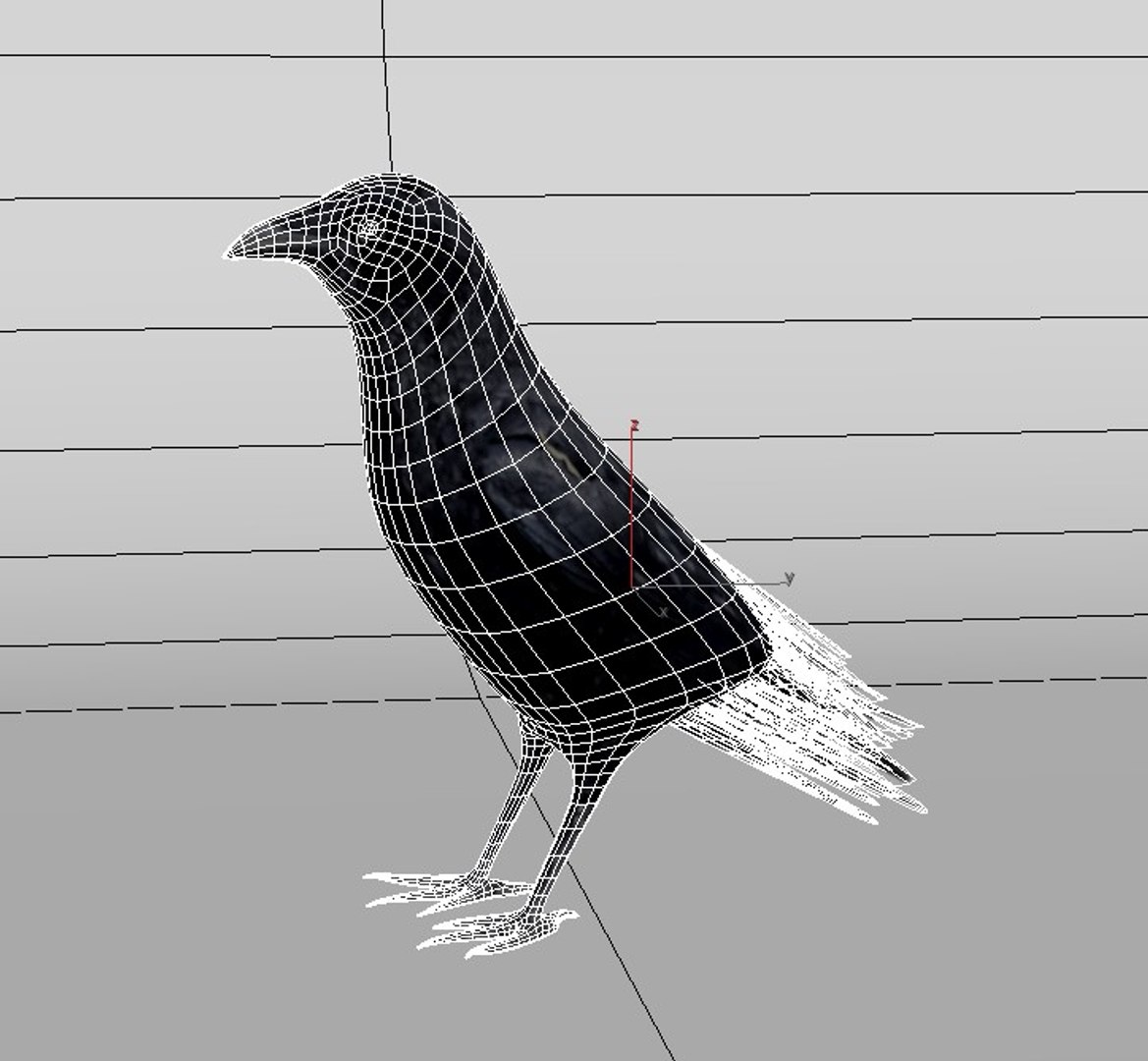 3D Model Crow - TurboSquid 1428462