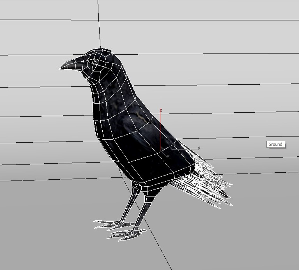 3D Model Crow - TurboSquid 1428462