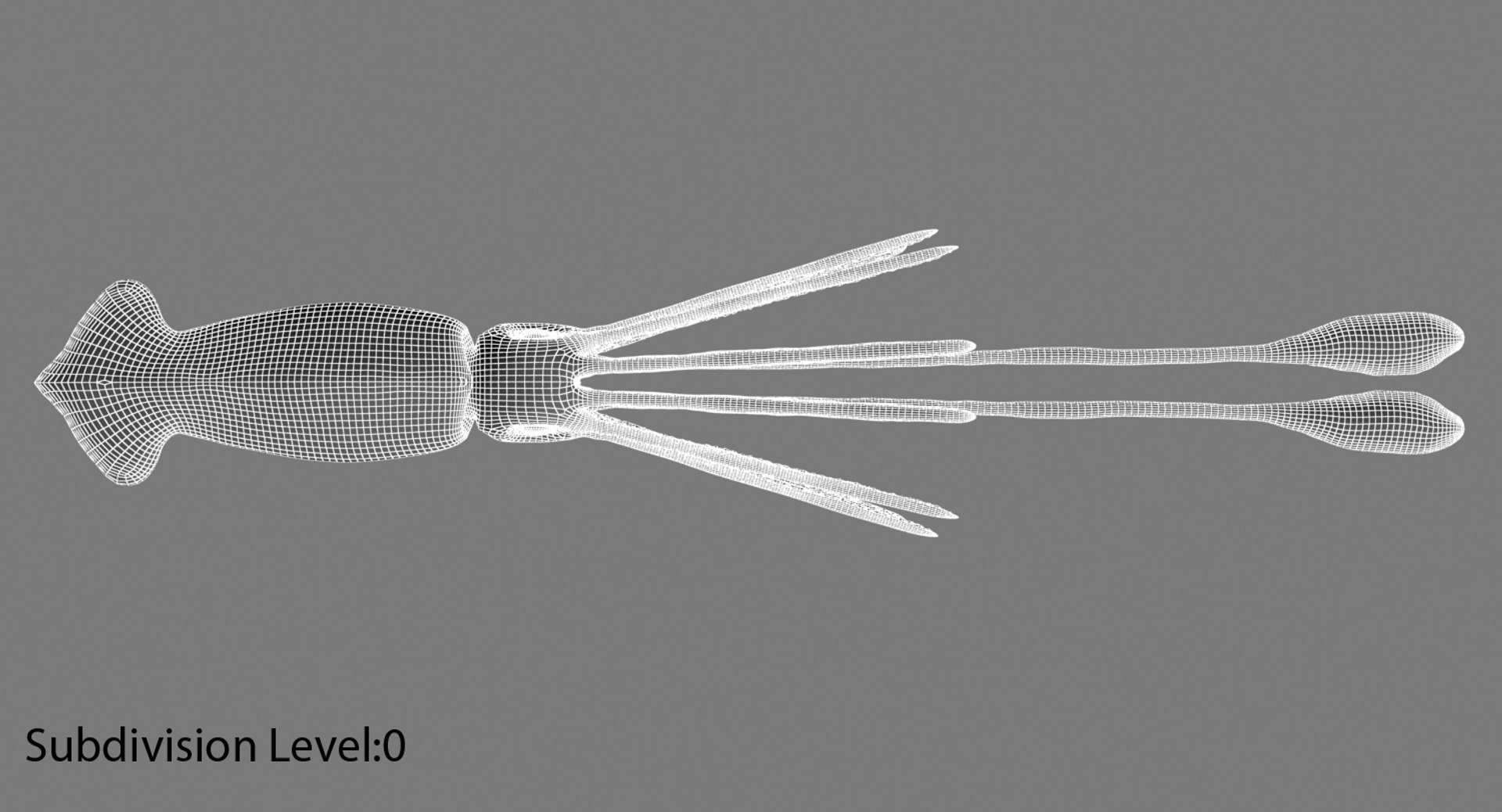 Squid Animation 3D Model - TurboSquid 1203610