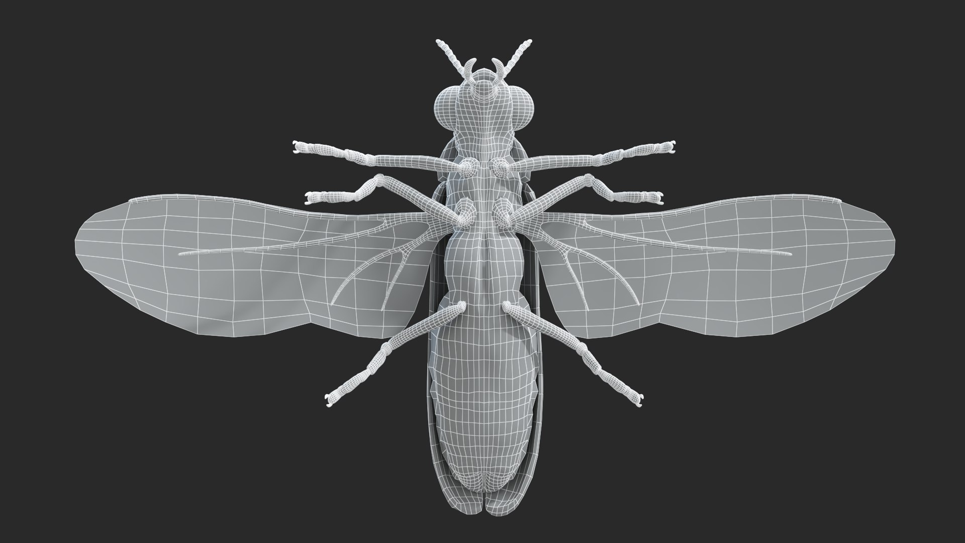 3D Firefly Static model - TurboSquid 2008604