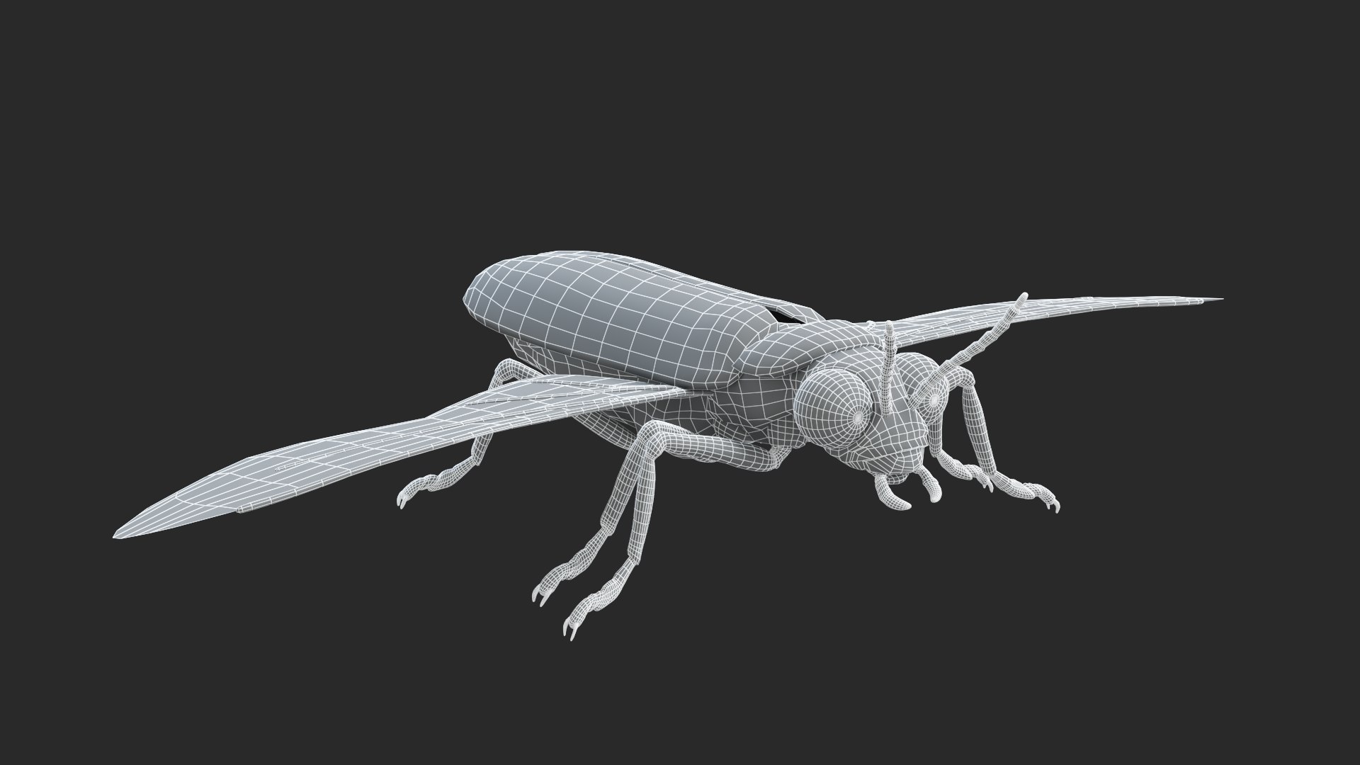3D Firefly Static model - TurboSquid 2008604