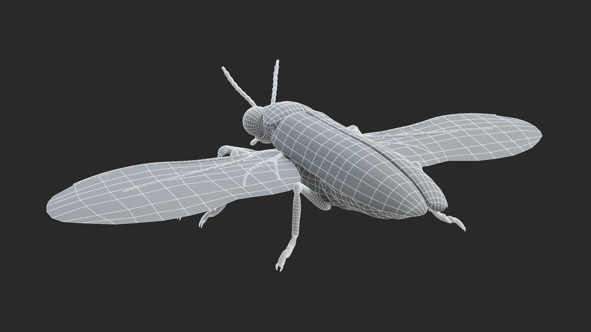 3D Firefly Static model - TurboSquid 2008604