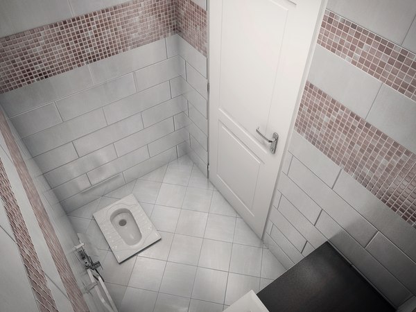 3d wc scene interior complete