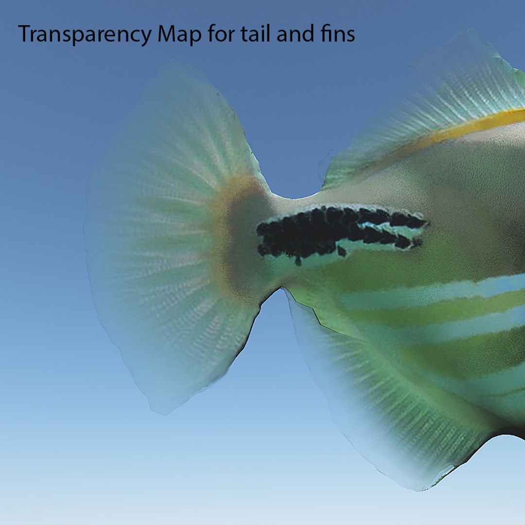 3d Obj Realistic Triggerfish Vue Trigger