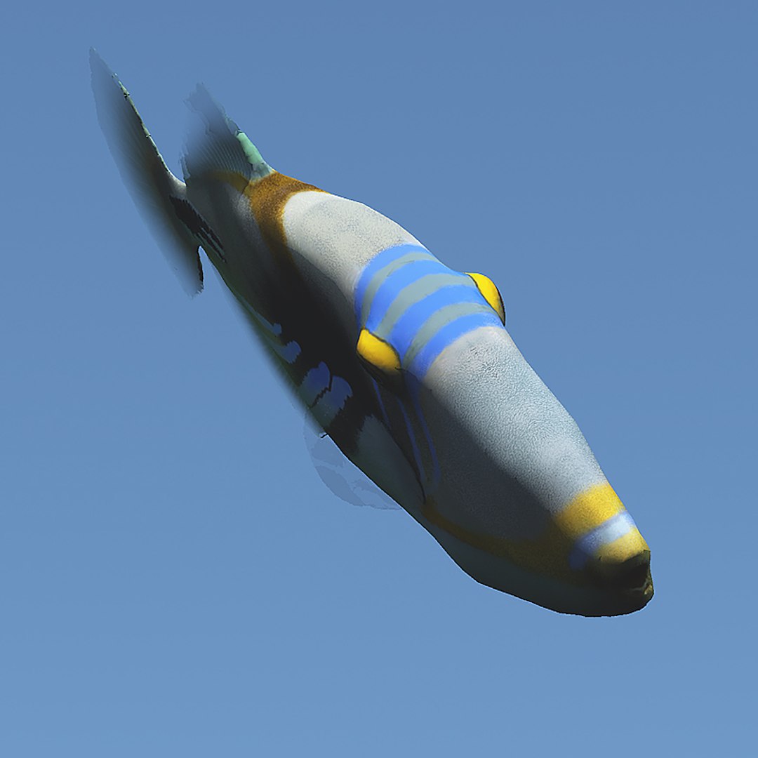 3d Obj Realistic Triggerfish Vue Trigger