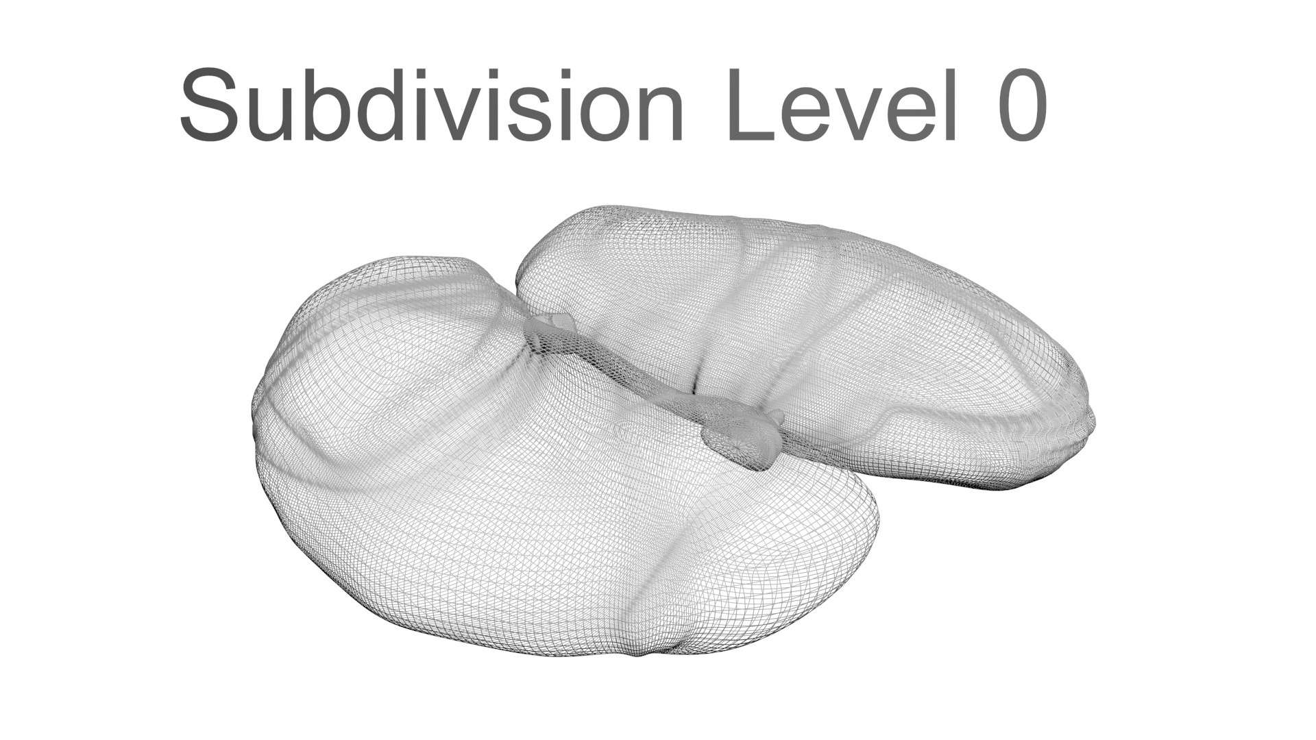 Chicken Kidneys 3D Model - TurboSquid 2249533