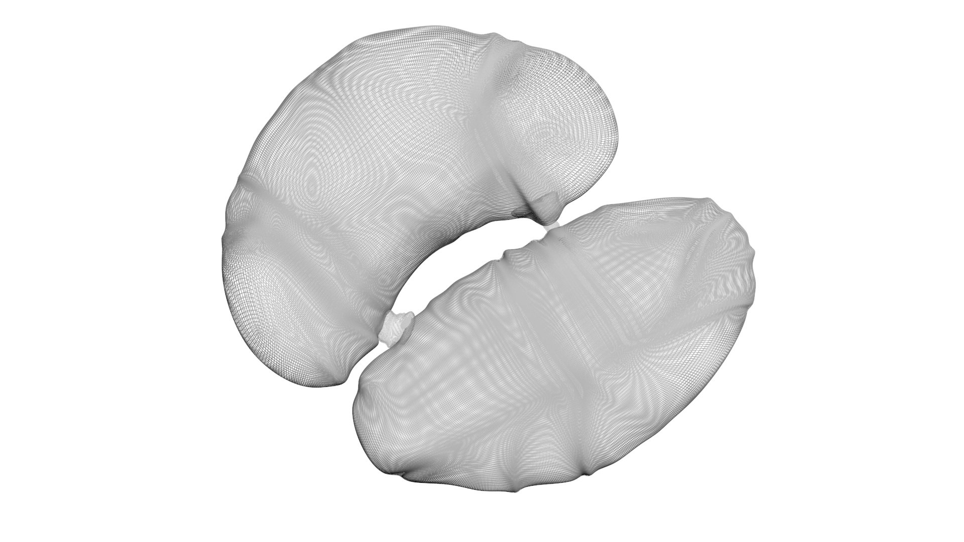 Chicken Kidneys 3D Model - TurboSquid 2249533