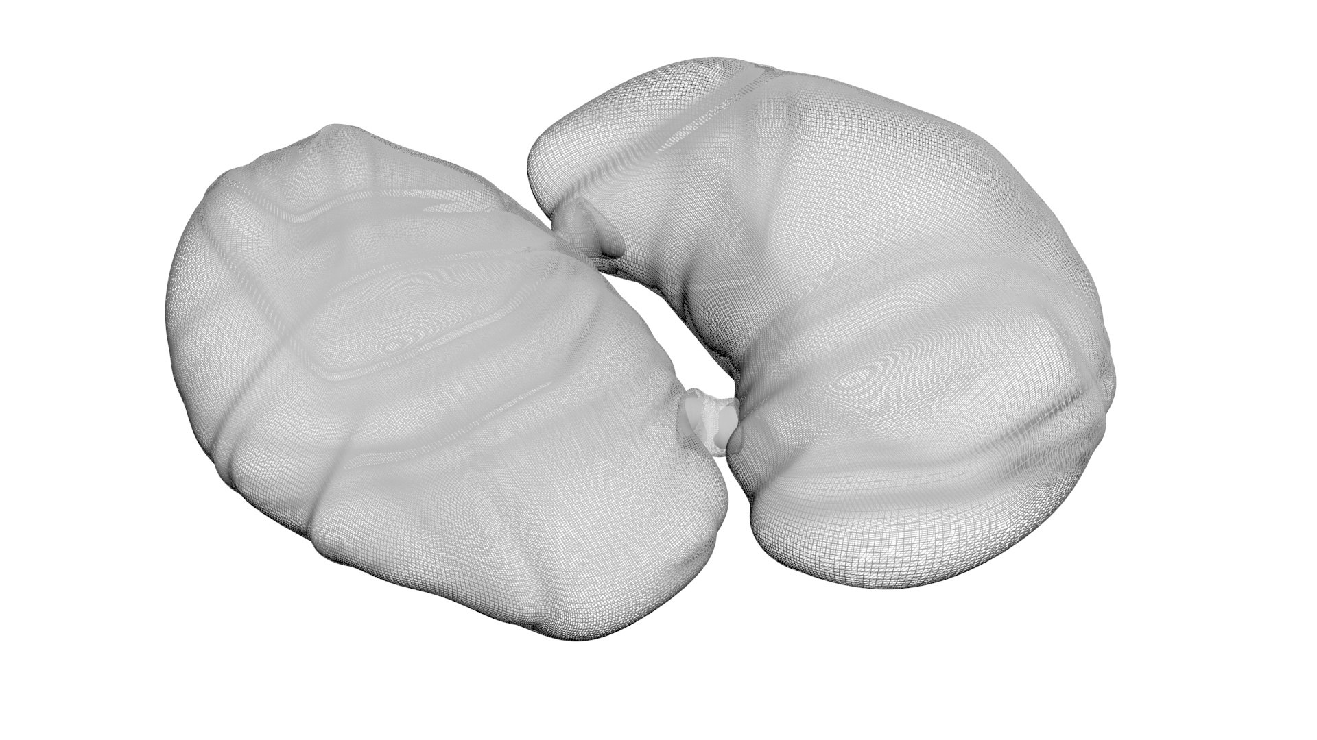 Chicken Kidneys 3D Model - TurboSquid 2249533