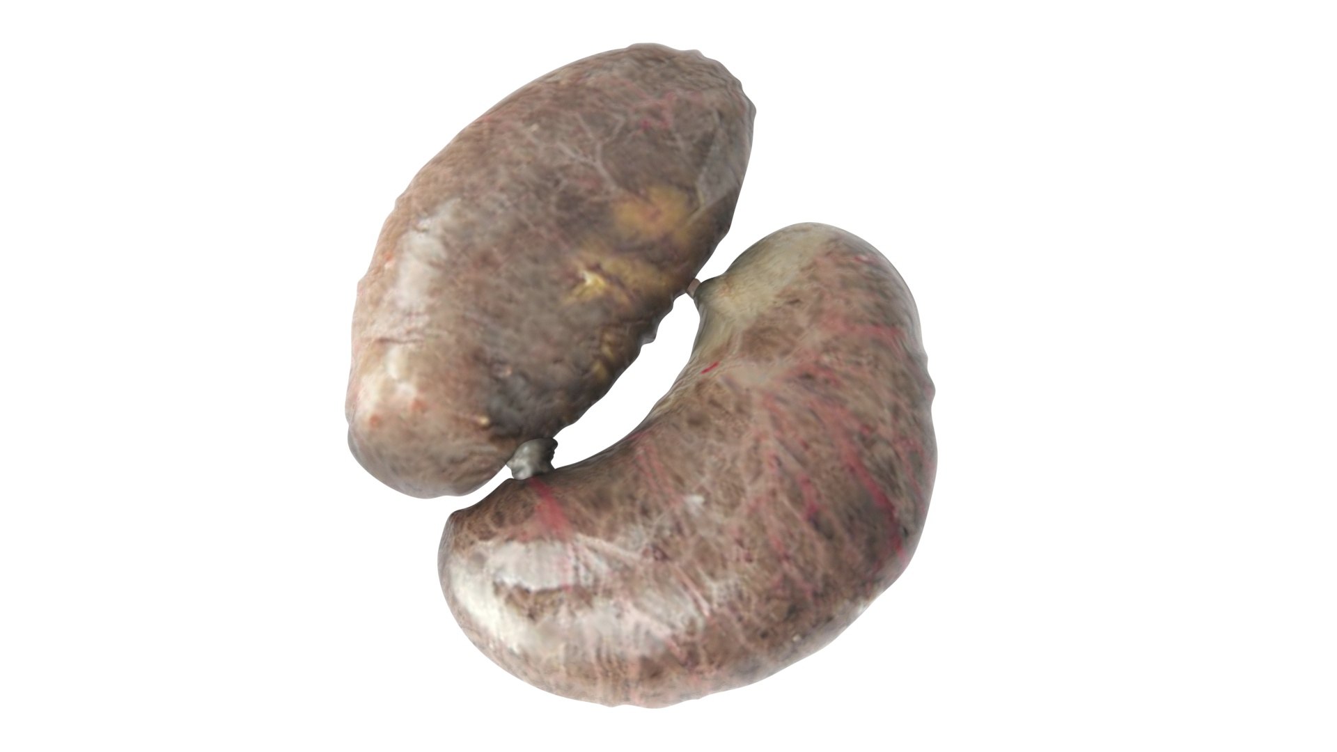 Chicken Kidneys 3D Model - TurboSquid 2249533