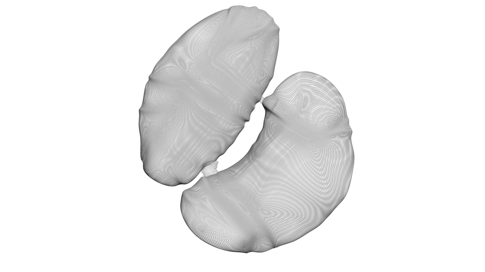 Chicken Kidneys 3D Model - TurboSquid 2249533