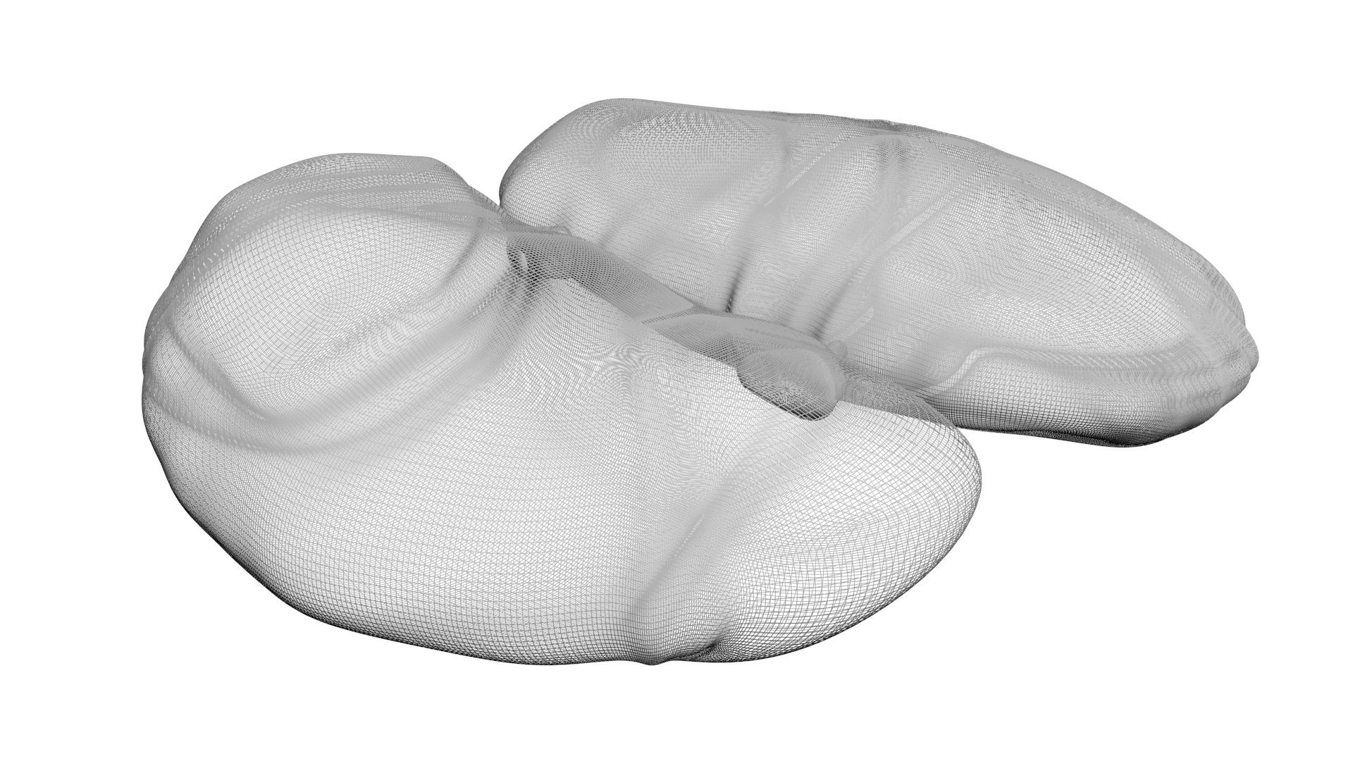 Chicken Kidneys 3D Model - TurboSquid 2249533