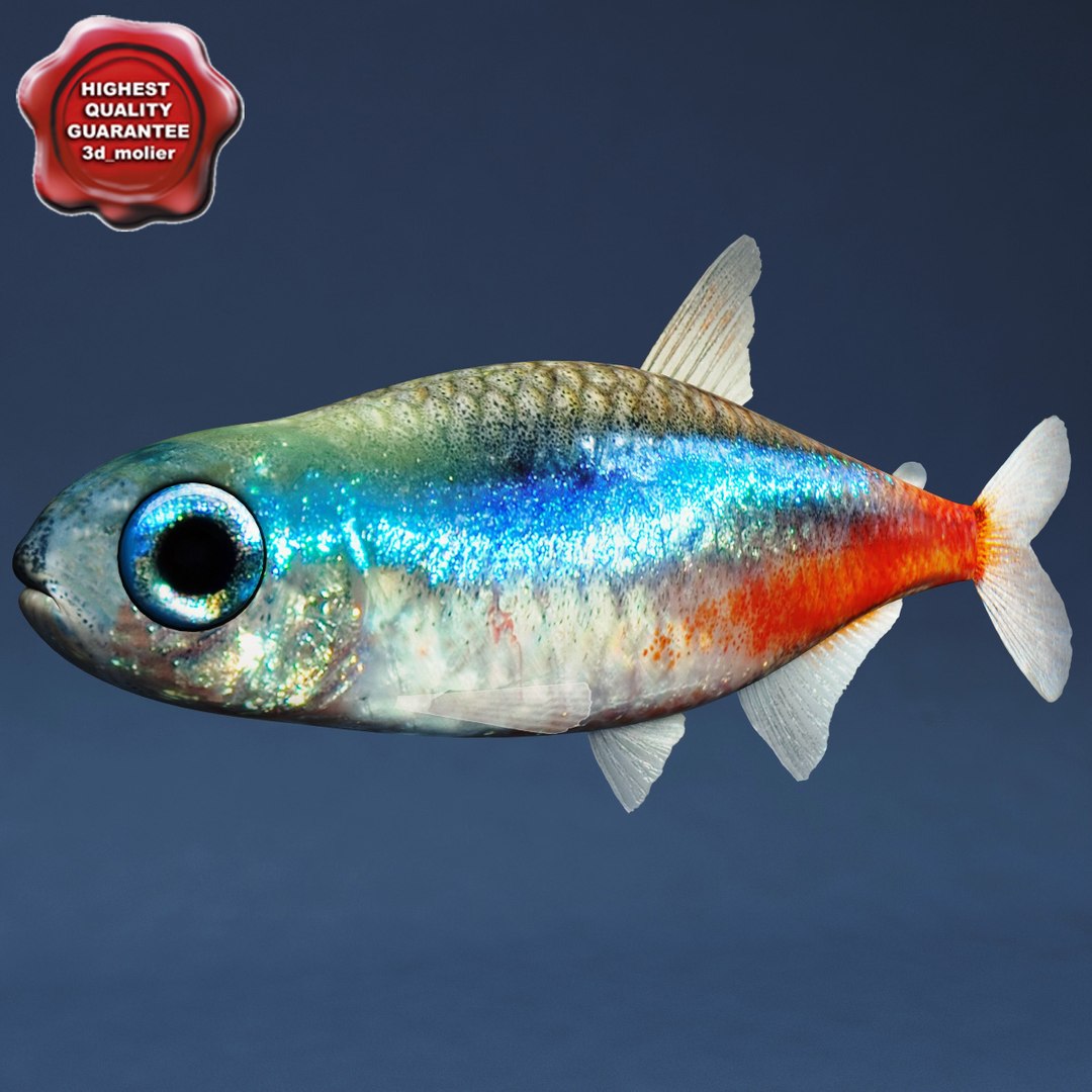 Neon Red Fish 3d Model