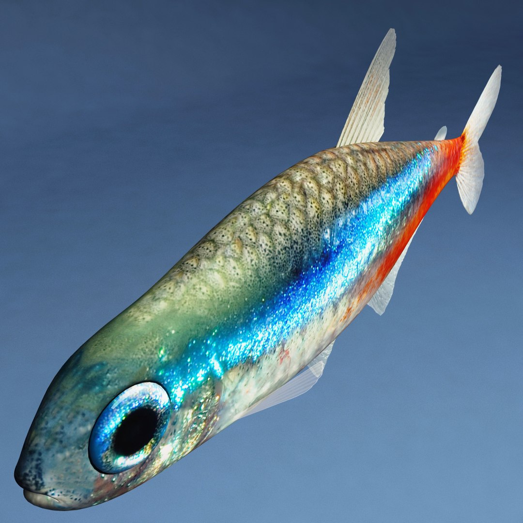Neon Red Fish 3d Model