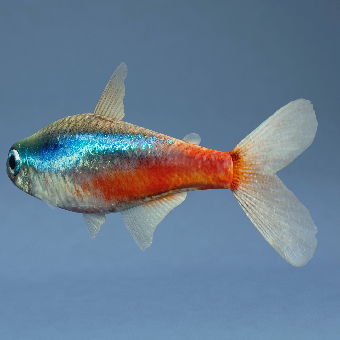 Neon Red Fish 3d Model